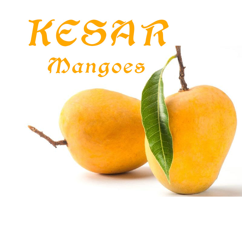 Kesar Mango || Juicy Mango || King of Mangoes || India || 12 Pieces ...