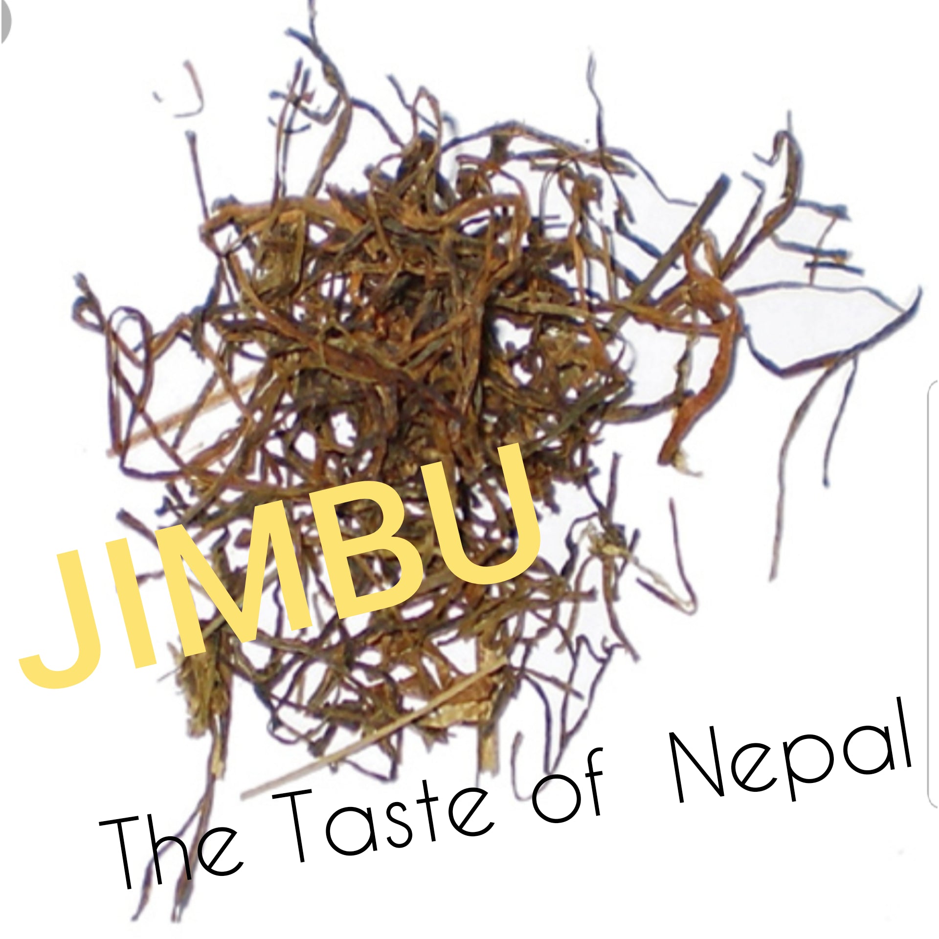 Himalayan Jimbu (जिम्बु) Himalayan Herb Jimbu – HimalayanSpices